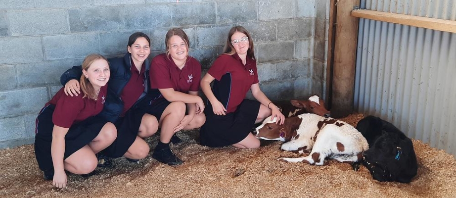 Year 9 Food Tech classes visit local producers - Nayland College