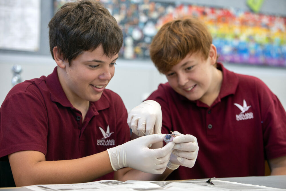 Subject Selection - Pathway Planning for High School Students' Future